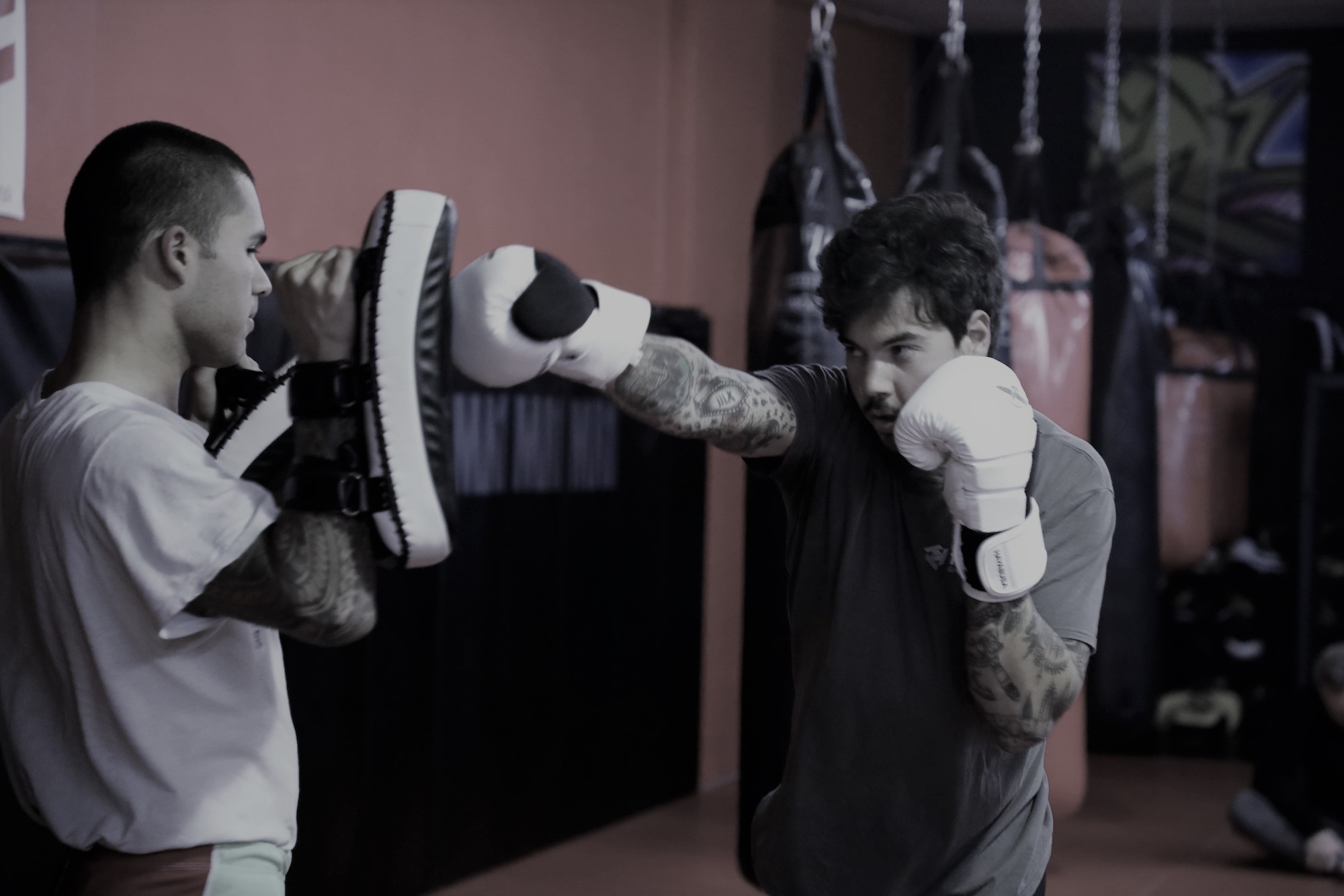 Benefits Of Boxing Training Classes In Frankston - Polyphonichmi